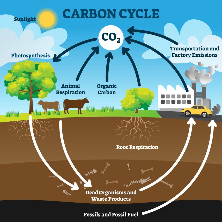 ITK ouvre de nouvelles perspectives pour réduire le Carbone, sans réduire la production agricole ...
