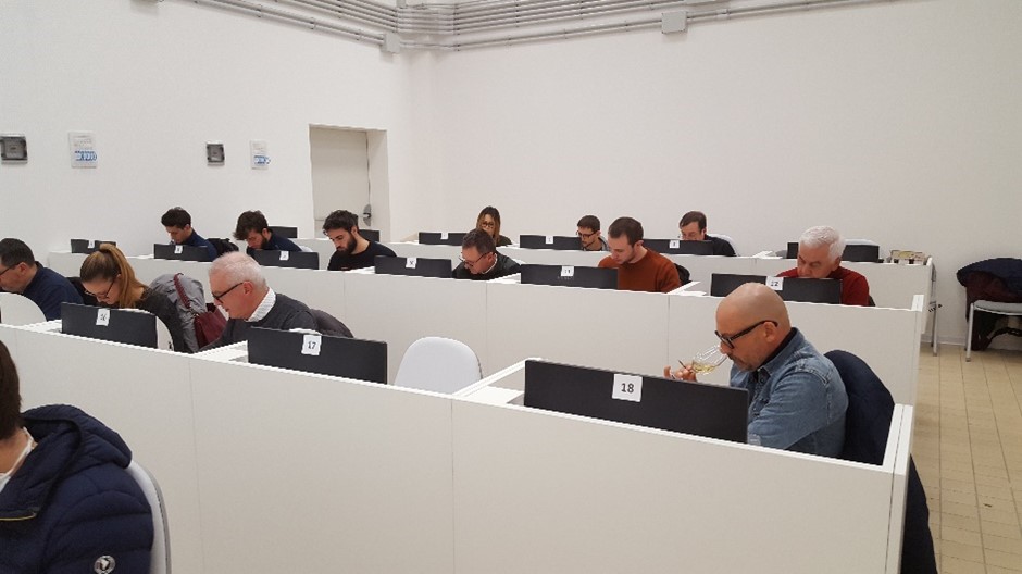 Vintel, the best vineyard irrigation in times of climate change : the Italian experience | itk ...