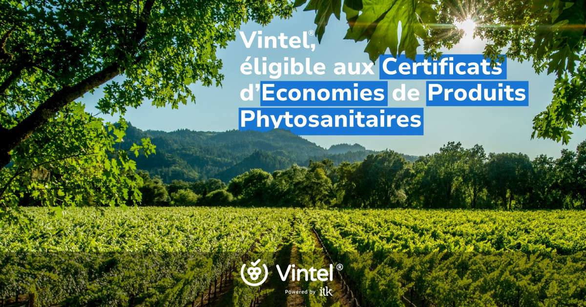 Éligibilité de Vintel aux Certificats d'Économie de Produits Phytopharmaceutiques (CEPP) | itk ...